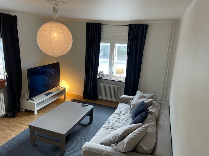 Stor Och Mysig Lägenhet I Majorna - Gothenburg