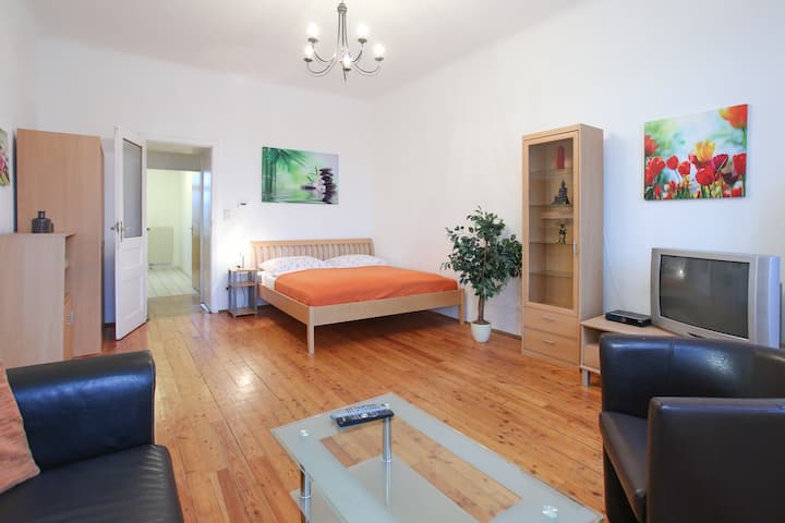 Large Viennese Old Building Apartment With Flair - Vienna