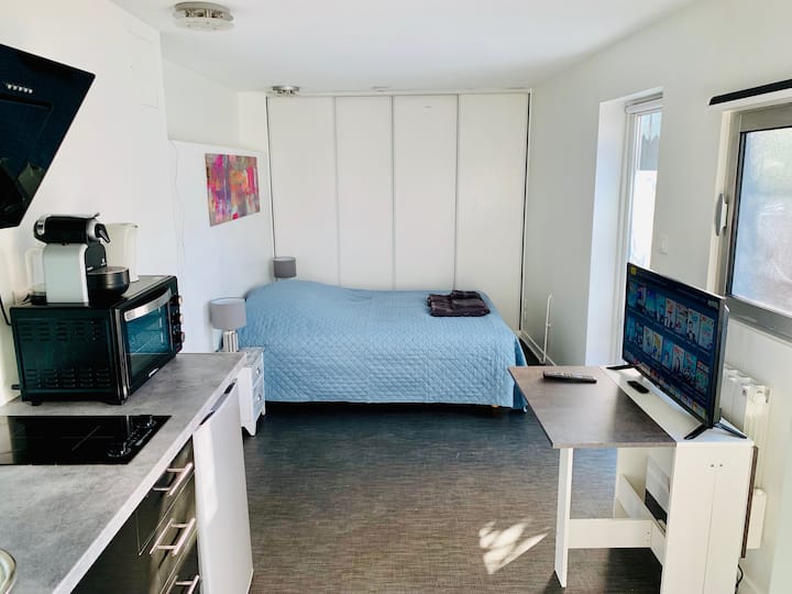 Studio Indépendant Dans Belle Demeure - Fontenay-sous-Bois