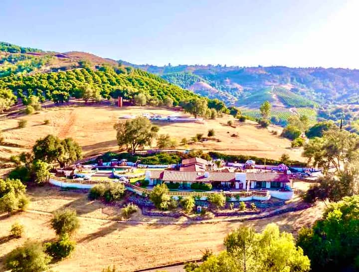 Famous John  Delorean Adobe Hacienda On 20 Acres! - Valley Center, CA