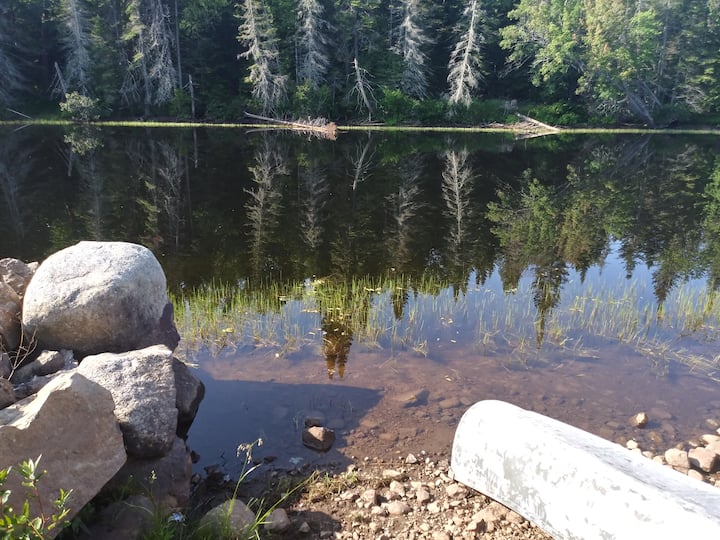 Raquette River Adventures Site 15 Wf Tree Site, - Tupper Lake, NY