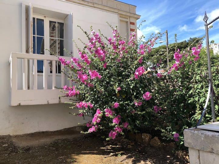 Petite Maison - Royan