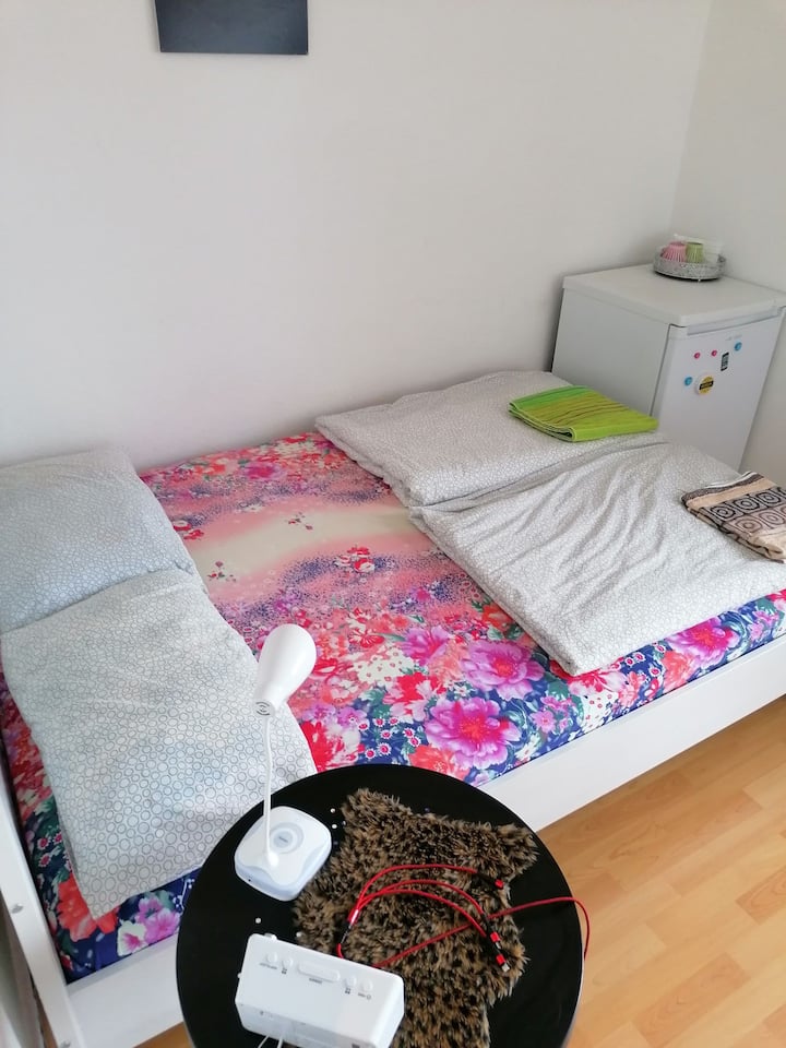 Entire Flat In City Center - Braunschweig