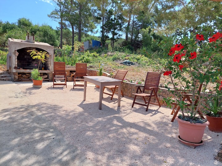 Apartmani Dalibort 2 - Stara Novalja