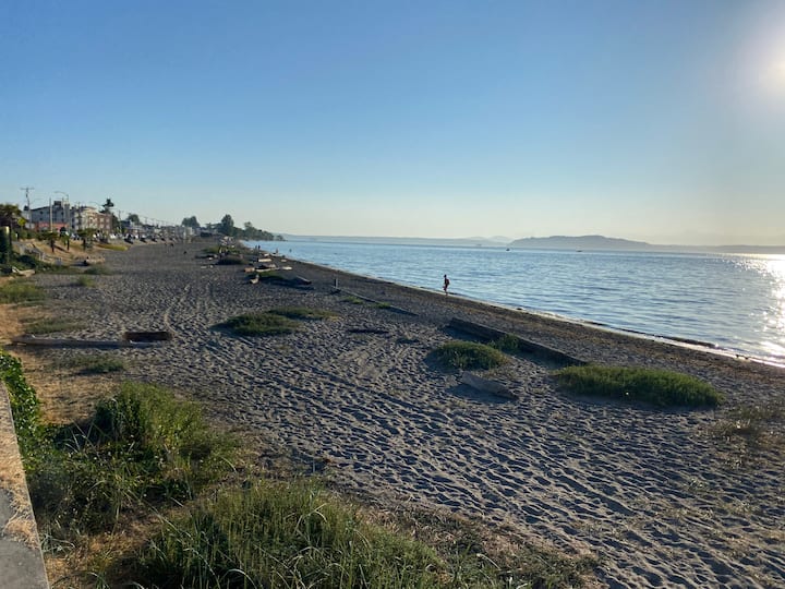 Alki Beach Vacation Rentals | Houses and More | Airbnb
