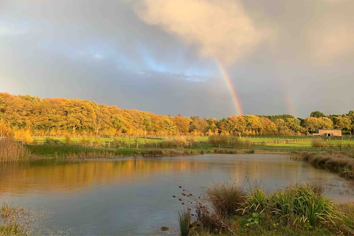 Peaceful Self-catered Apartment In Surrey Hills - West Sussex