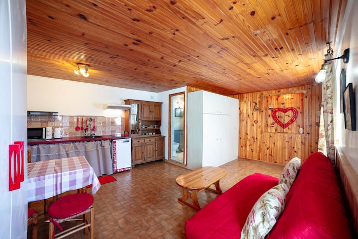 Studio Neuf, 25 M²,  A 300 M Du Coeur Du Village - Lac de Fenestre