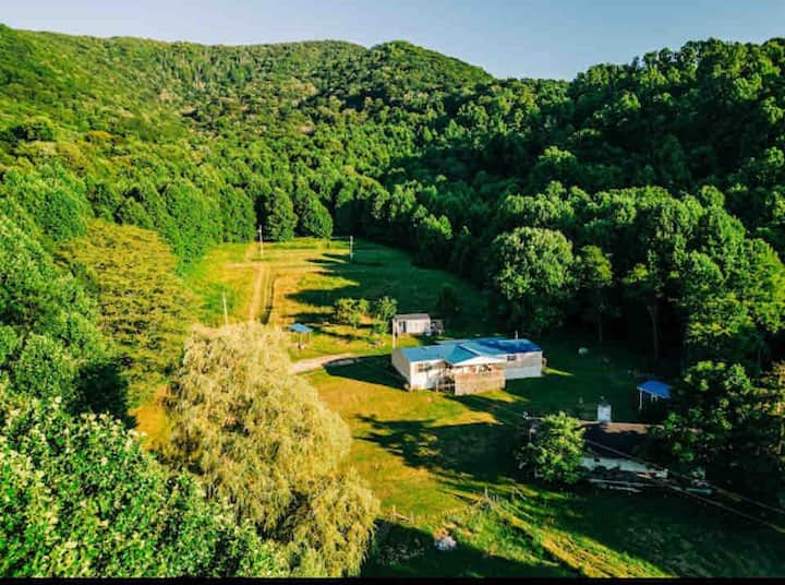 Safe Haven Farm Farm House - Roan Mountain, TN