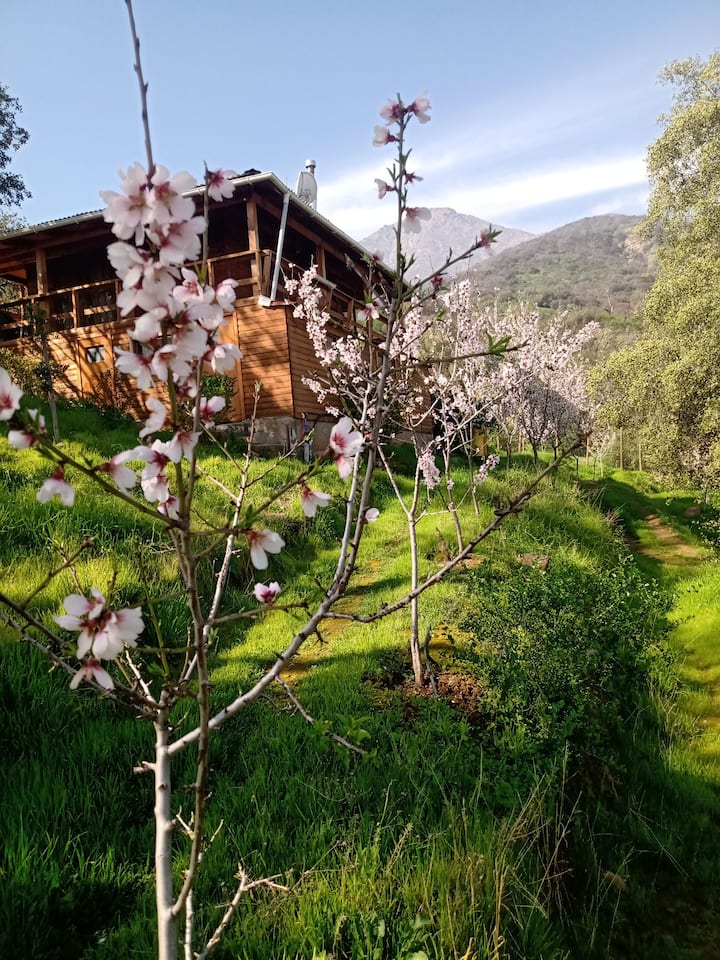 Naturaleza - Pirque