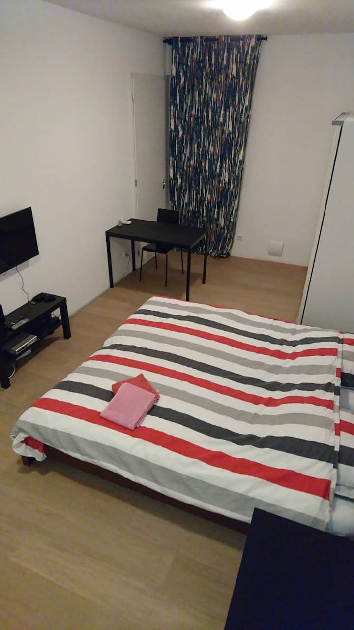 Room With Private Bathroom In The Hague. - 's-Gravenzande