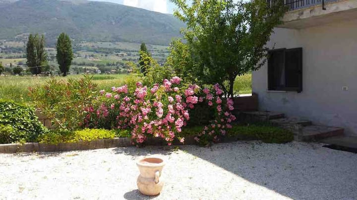 Casa Nonna Jole - Assisi