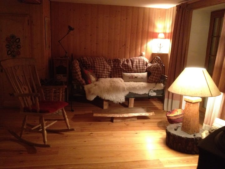 Large Chalet Less Than 100m From The Pistes - Hautes-Alpes