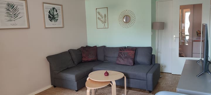 Très Bel Appartement Proche Part-dieu - Villeurbanne