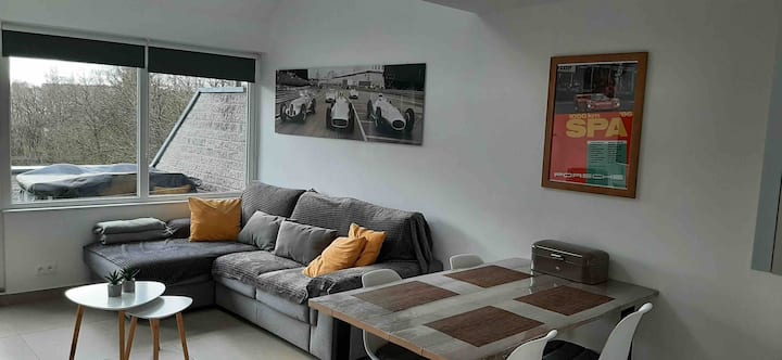 Terrasses De Malmedy - Raidillon 439 - Malmedy