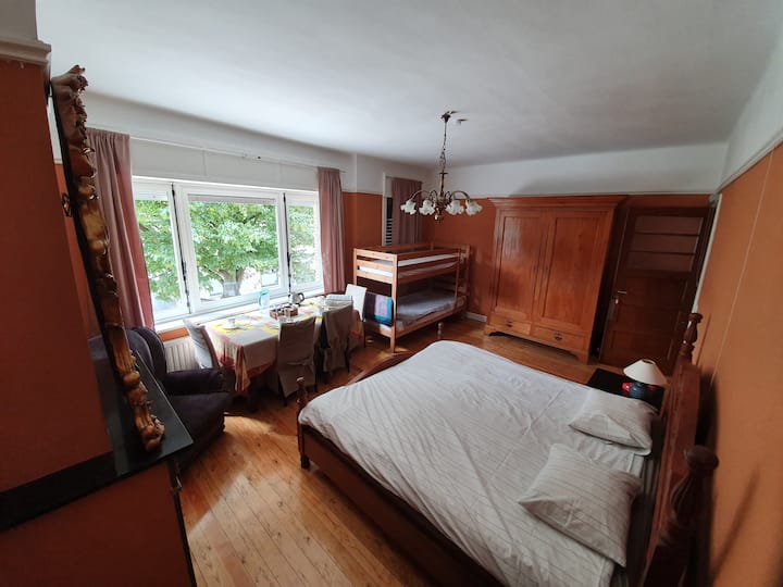 Family Room With Private Bathroom And Free Bikes - Brujas
