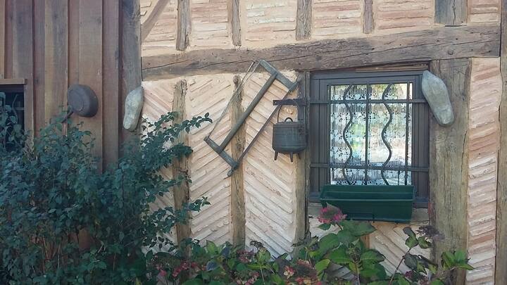 Le Grand Celtis - Gironde