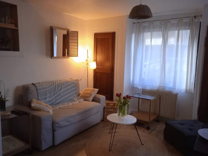 Appartement Cosy 2 Personnes Declaloc'74281000732r - Lac Léman