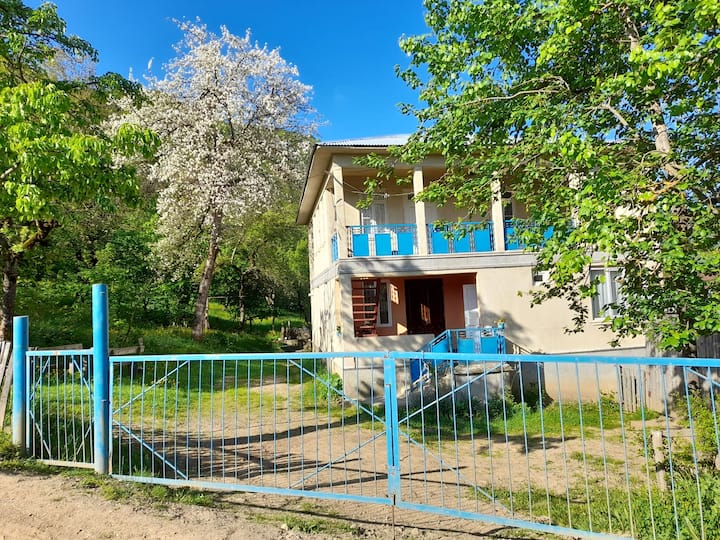 სახლი მშვიდი გარემოთი,ზღვის დონიდან 1000 მეტრში. - Batumi