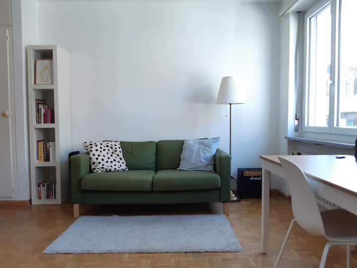 Charmant Studio Près Du Fleuve - Basel