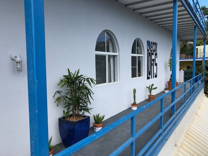 Love City Lofts -Walkable Cruz Bay-reef Bay Suite - Cruz Bay
