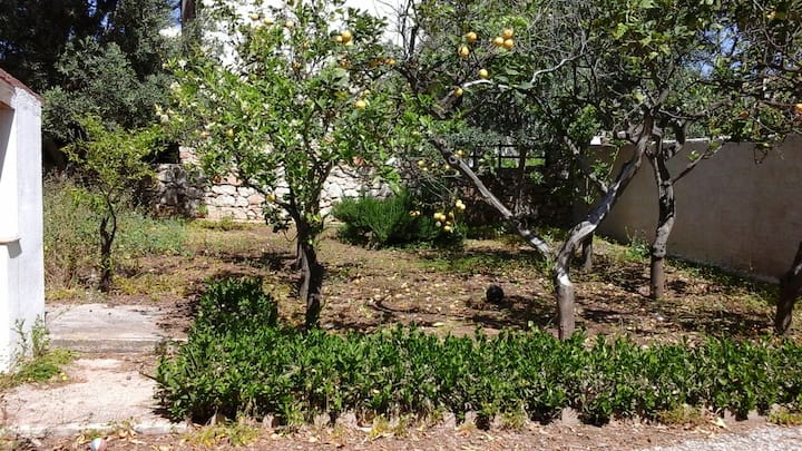 Villa Enrica - 3 Camere  Letto.  S. V. Lo Capo - San Vito Lo Capo