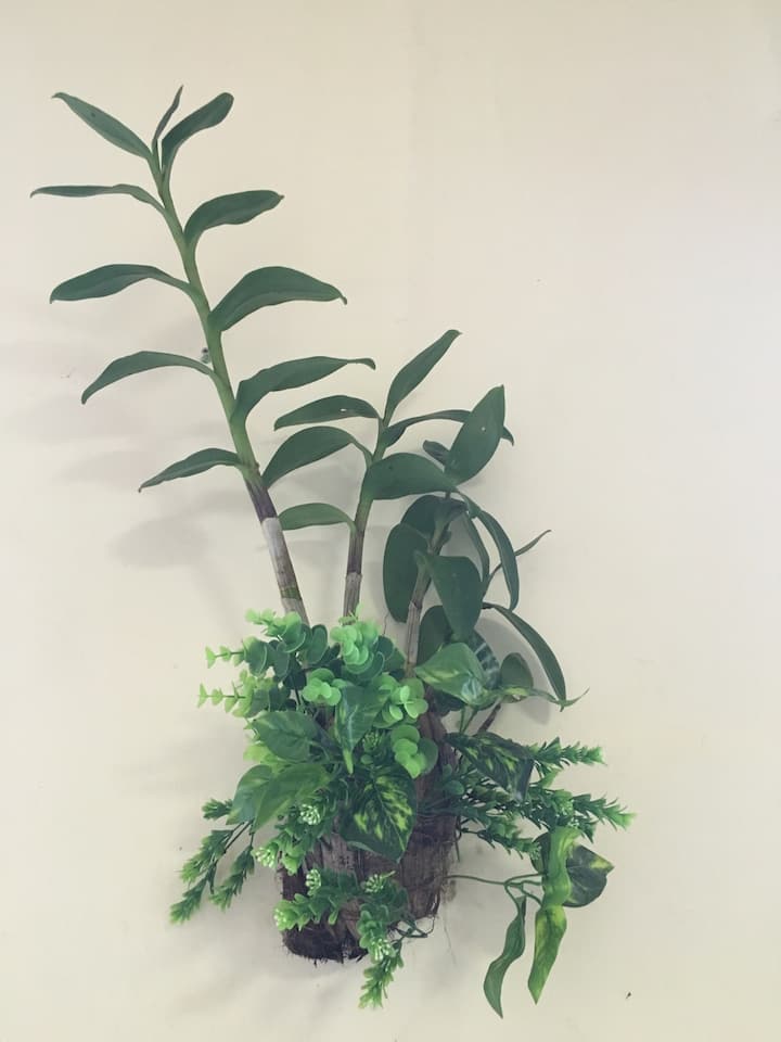 位于科罗州最中心的商业区,生活便利,离最大的Wctc 超市仅3分钟 - Palau