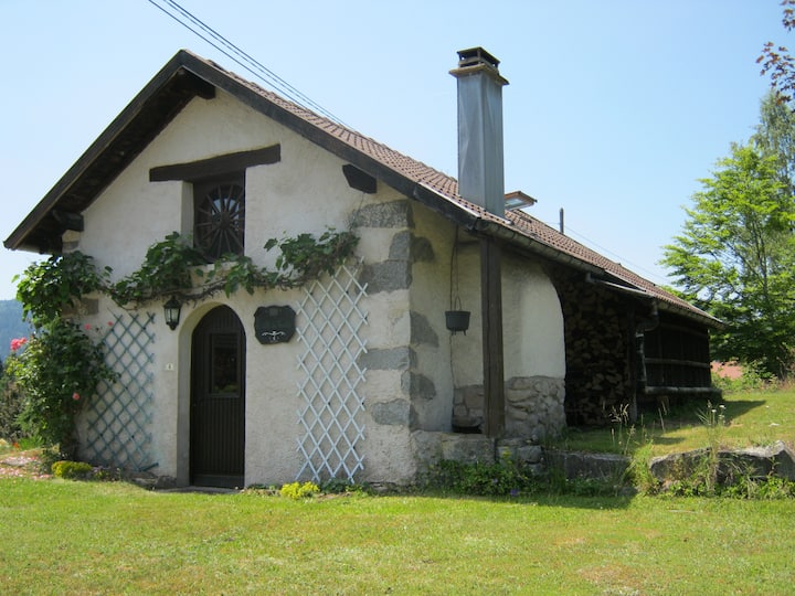 Gîte Avec Jolie Vue Sur La Montagne - Saulxures-sur-Moselotte