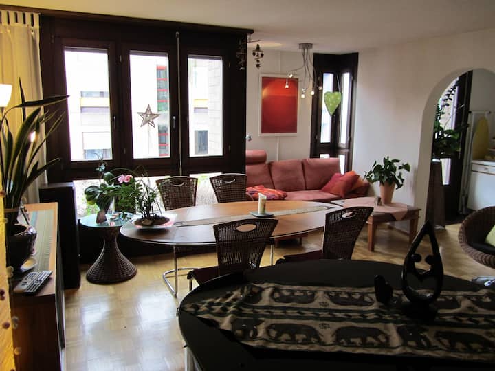 300m From Art Basel: Beautiful Flat - Basel