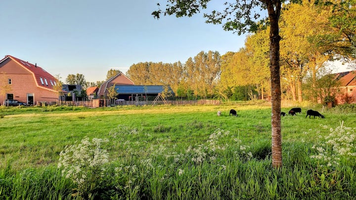 Welness En Natuur In Hartje Brabant - Gemert
