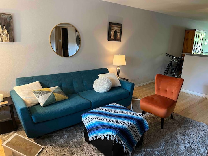 Cat Condo–private Attached Bathroom. Walk To Soco. - Austin, TX