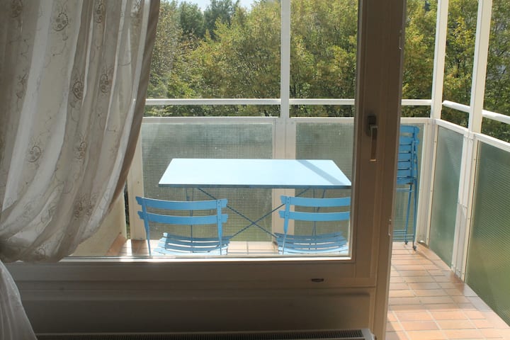 Spacious Flat (3 Rooms)  In Central Location - Munich