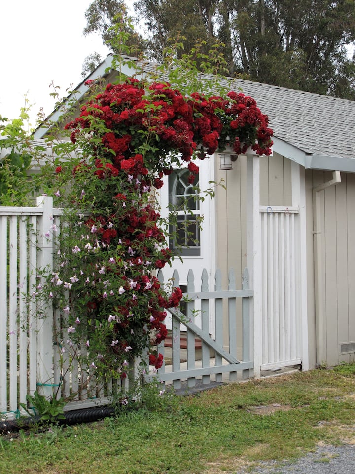 My Little Farm Country Studio - Santa Rosa, CA
