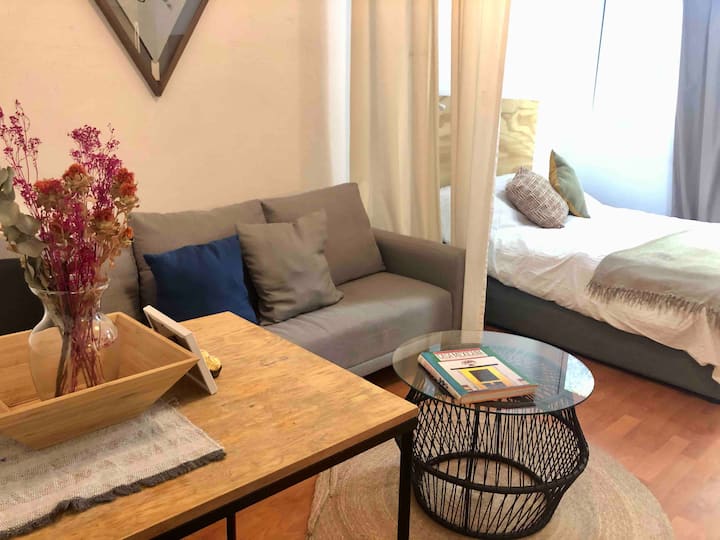 Tranquilo Loft En Condesa - Mexico City