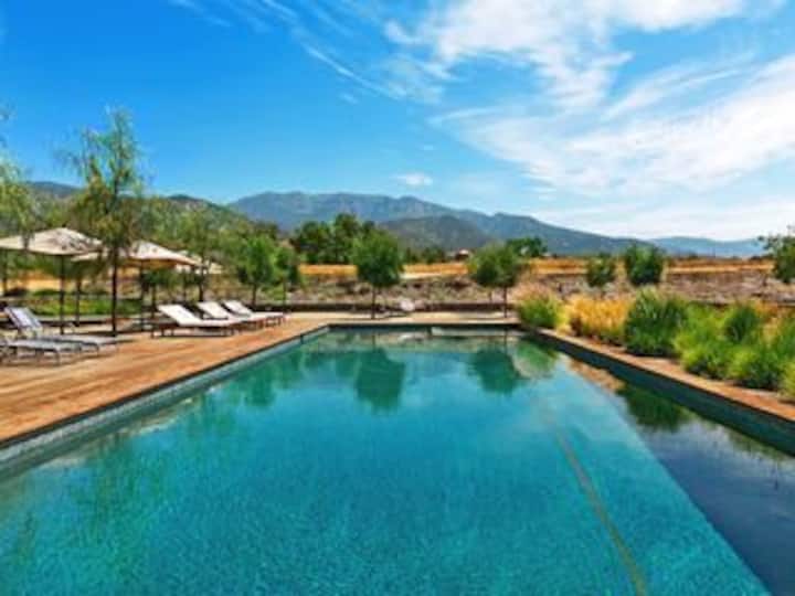 Scandinavian Glass House Pool, Tennis, Bocce - Ojai, CA