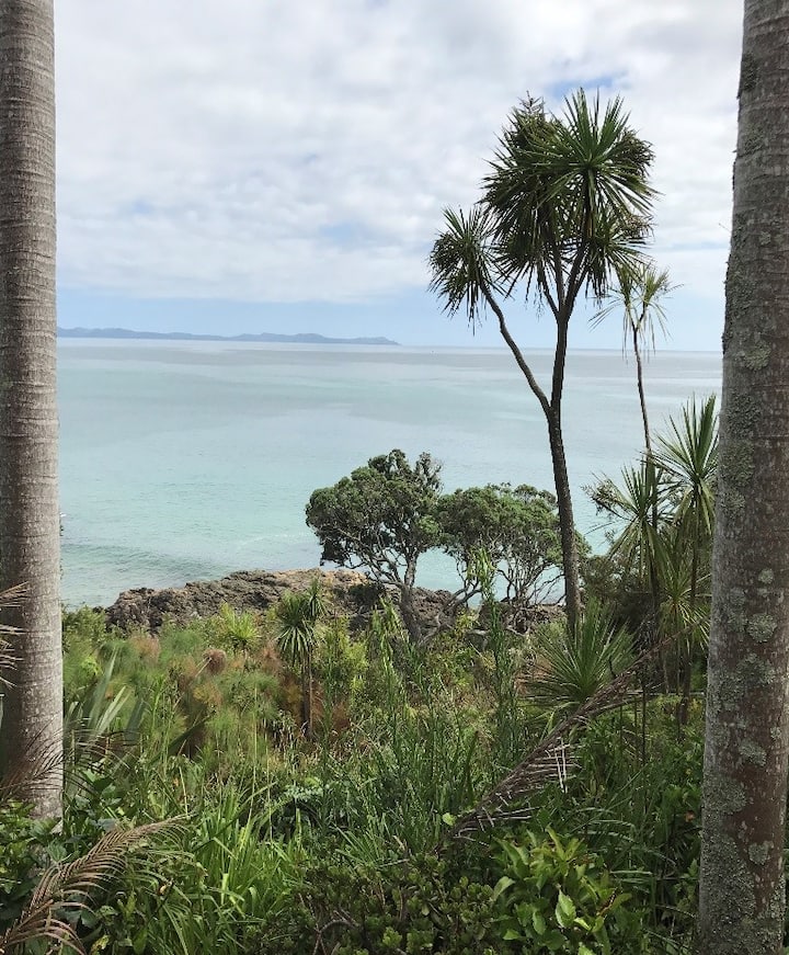 Time Out At Cable Bay - Northland