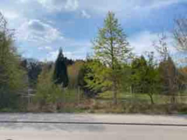 Helle Souterrainwohnung - Gilching