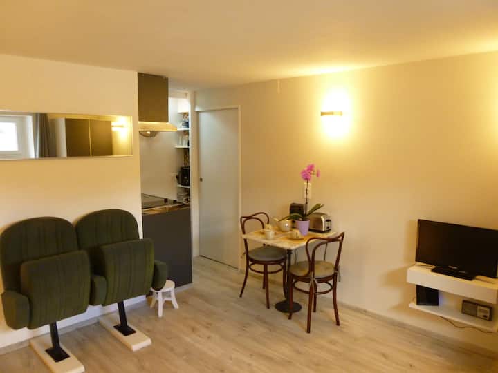 Agréable Studio Neuf à Royat , "Les Genévriers". - Royat