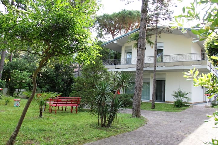 Samoa Int.4 - Lignano Pineta