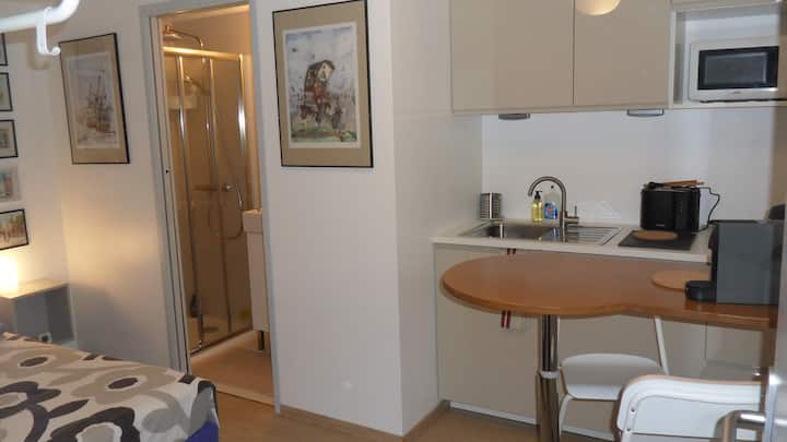 Petit Studio Et Sa Terrasse - Essey-lès-Nancy