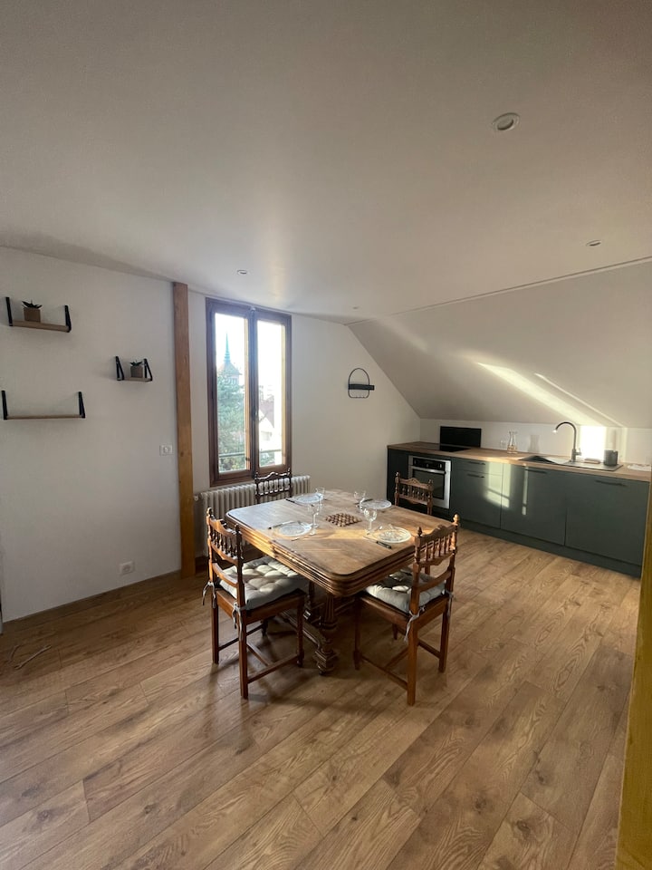 Appartement Centre Ville Annecy - Annecy