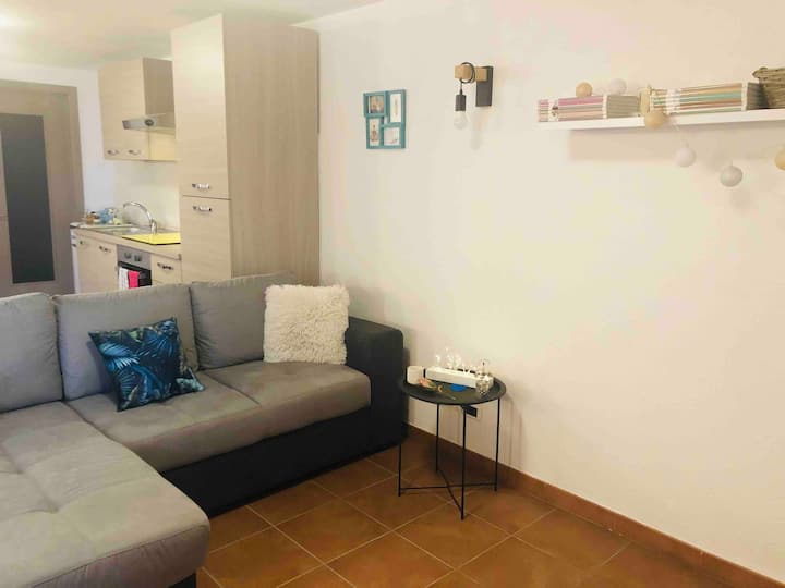 La Baita Di Nestinne E Souvenir - Monolocale - Champorcher