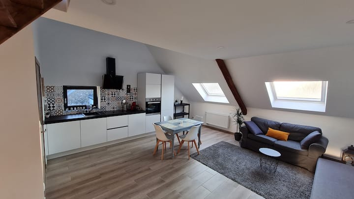Joli Appartement Rénové En 2019 - Arlon