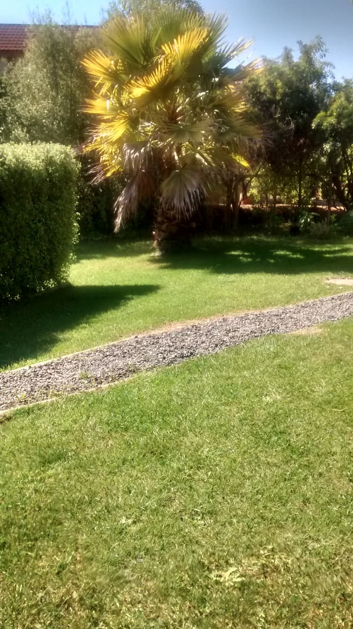 Descansar Junto A La Naturaleza - El Quisco