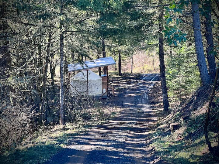 11 Best Yurts Near Newport, Oregon | Trip101