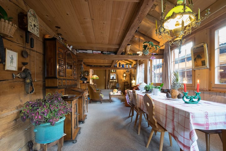 Pass The Night At The Museum (Suite) - Wilderswil
