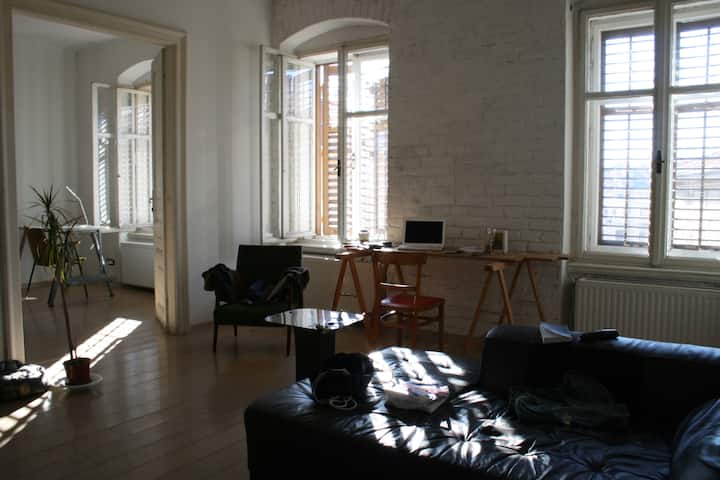 Comfortable Apartment In Centre - Rijeka