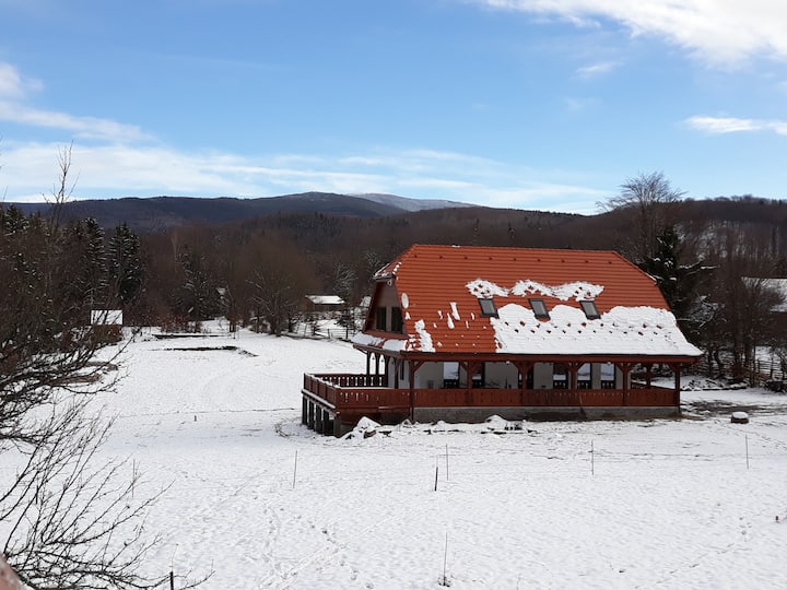 Bear Mountains Villa - Csendes Bukk 2 - Izvoare