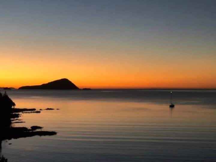 Hakula - Coromandel