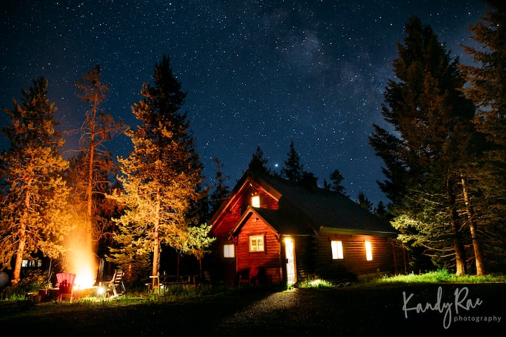Moosen Around - Island Park - Island Park, ID
