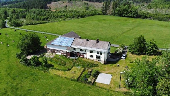 Ferienwohnung In Der Natur Auf Hof Lilienberg - Bad Berleburg